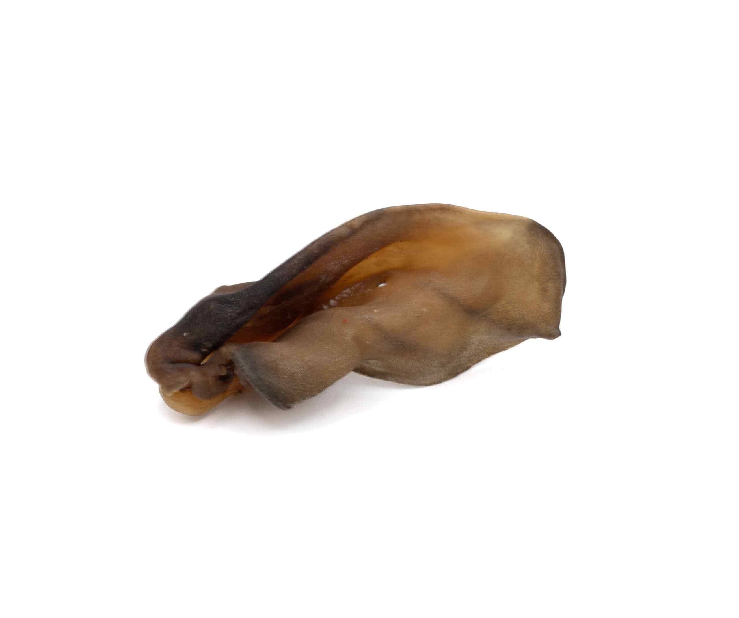 Furever Pure - Beef Ears (Natural) | Nimoosh Grooming & Boutique